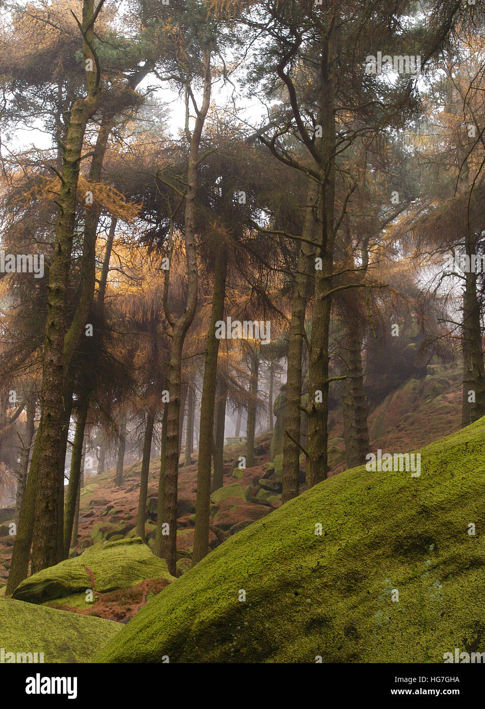 2000s UK Gary Colet Poster Stock Photo - Alamy