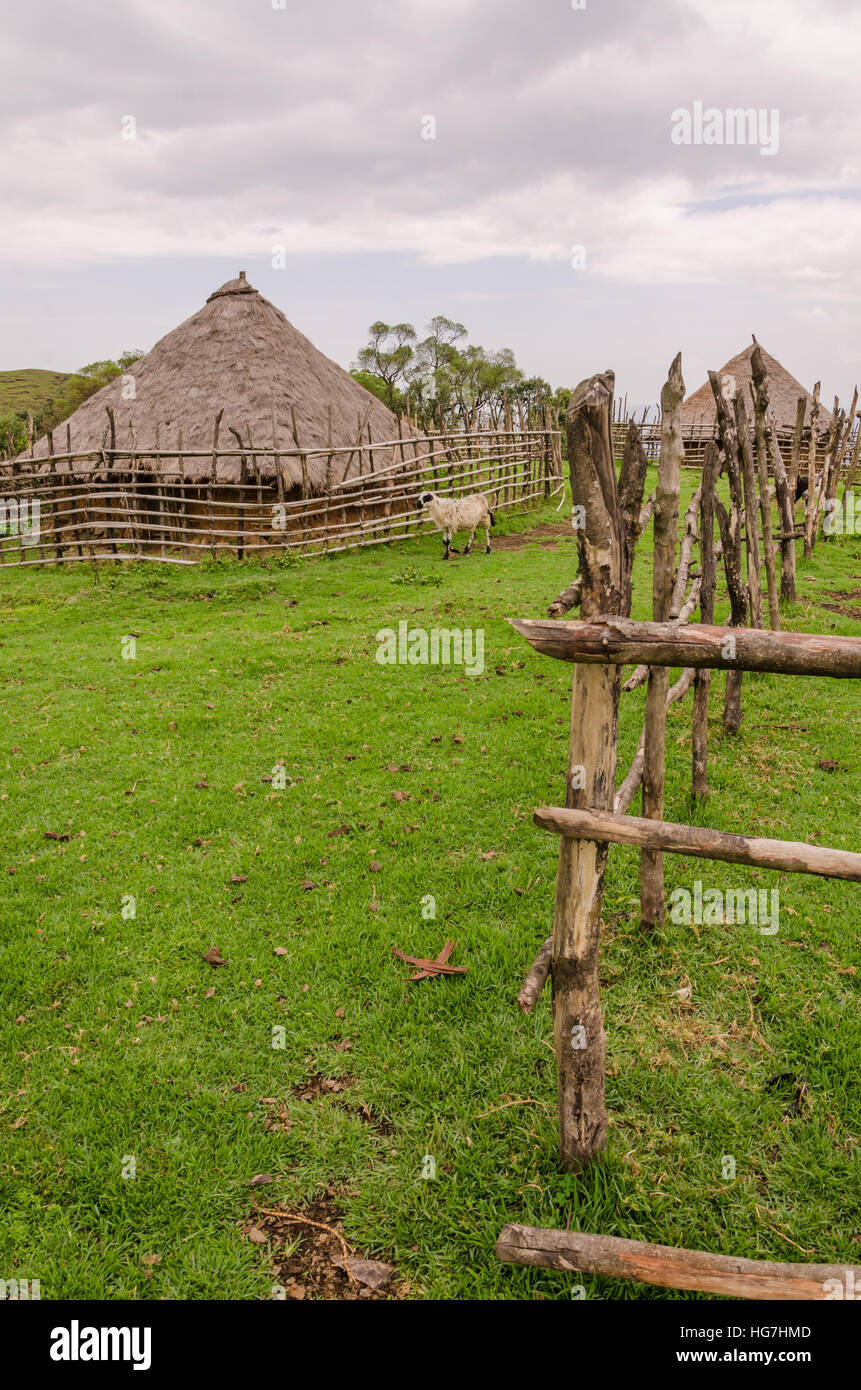 Traditional thatch, clay and wood houses of sheep farmer in highlands ...