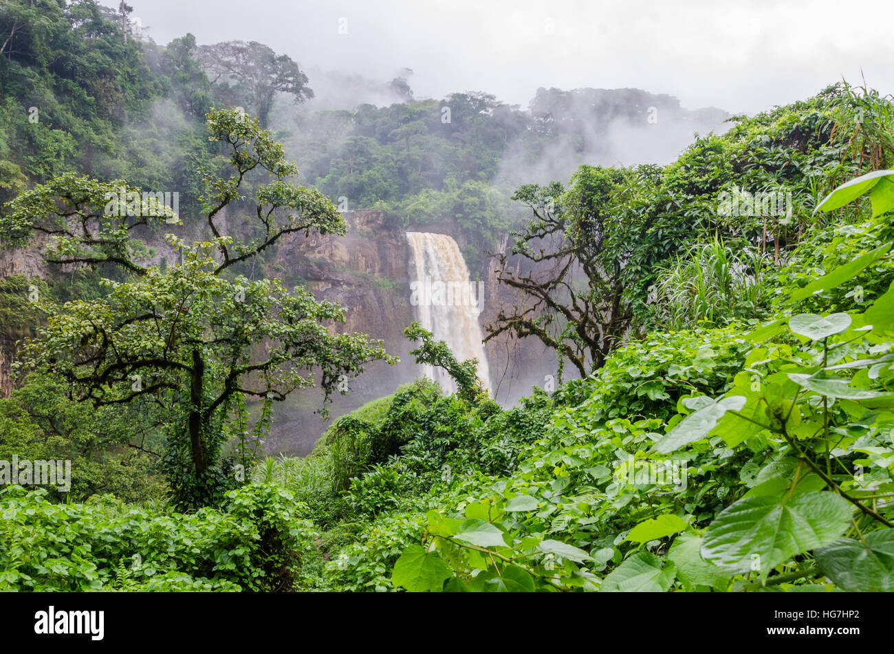 Beautiful hidden Ekom Waterfall deep in the tropical rain forest of ...
