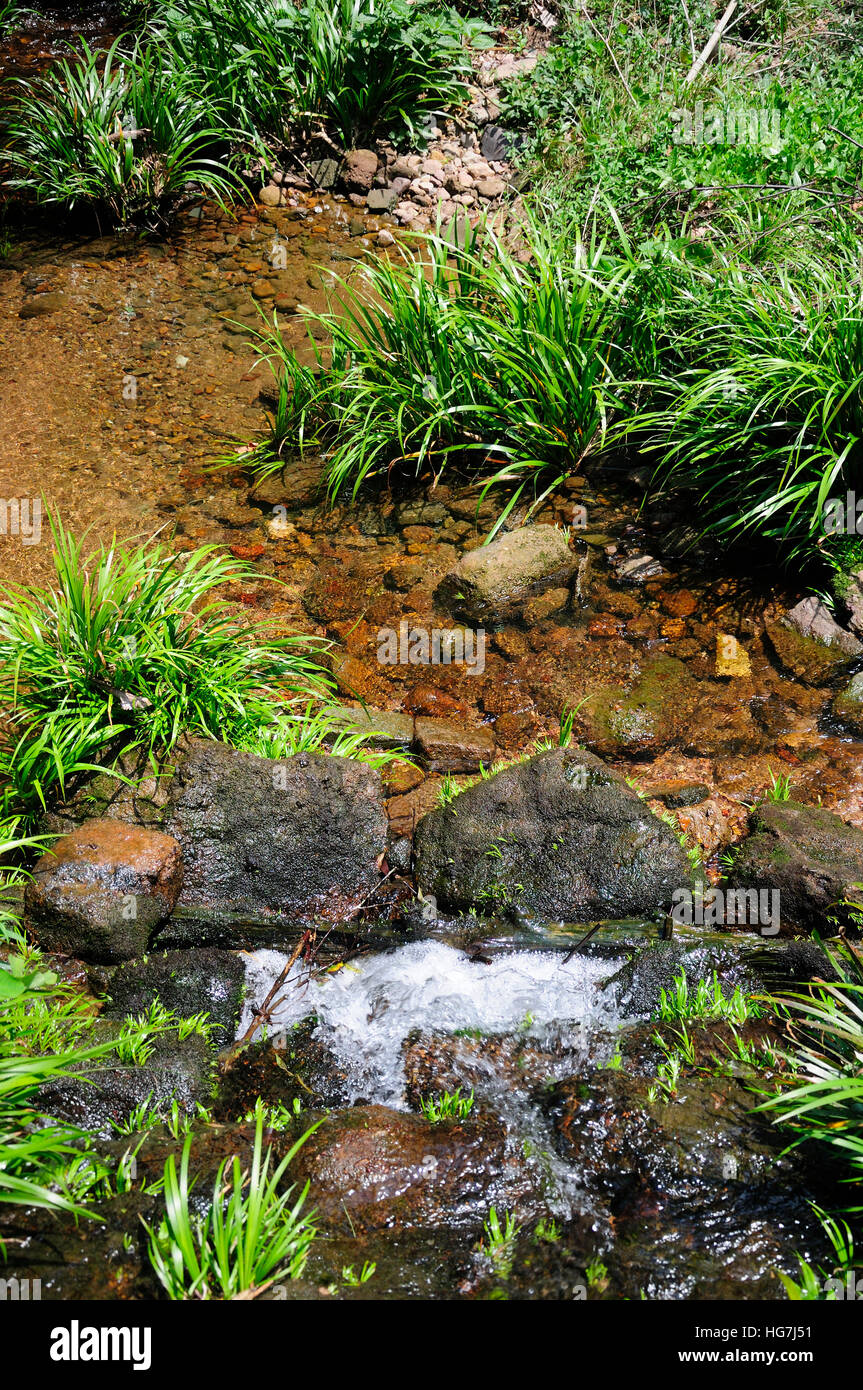 China vegetation hi-res stock photography and images - Alamy