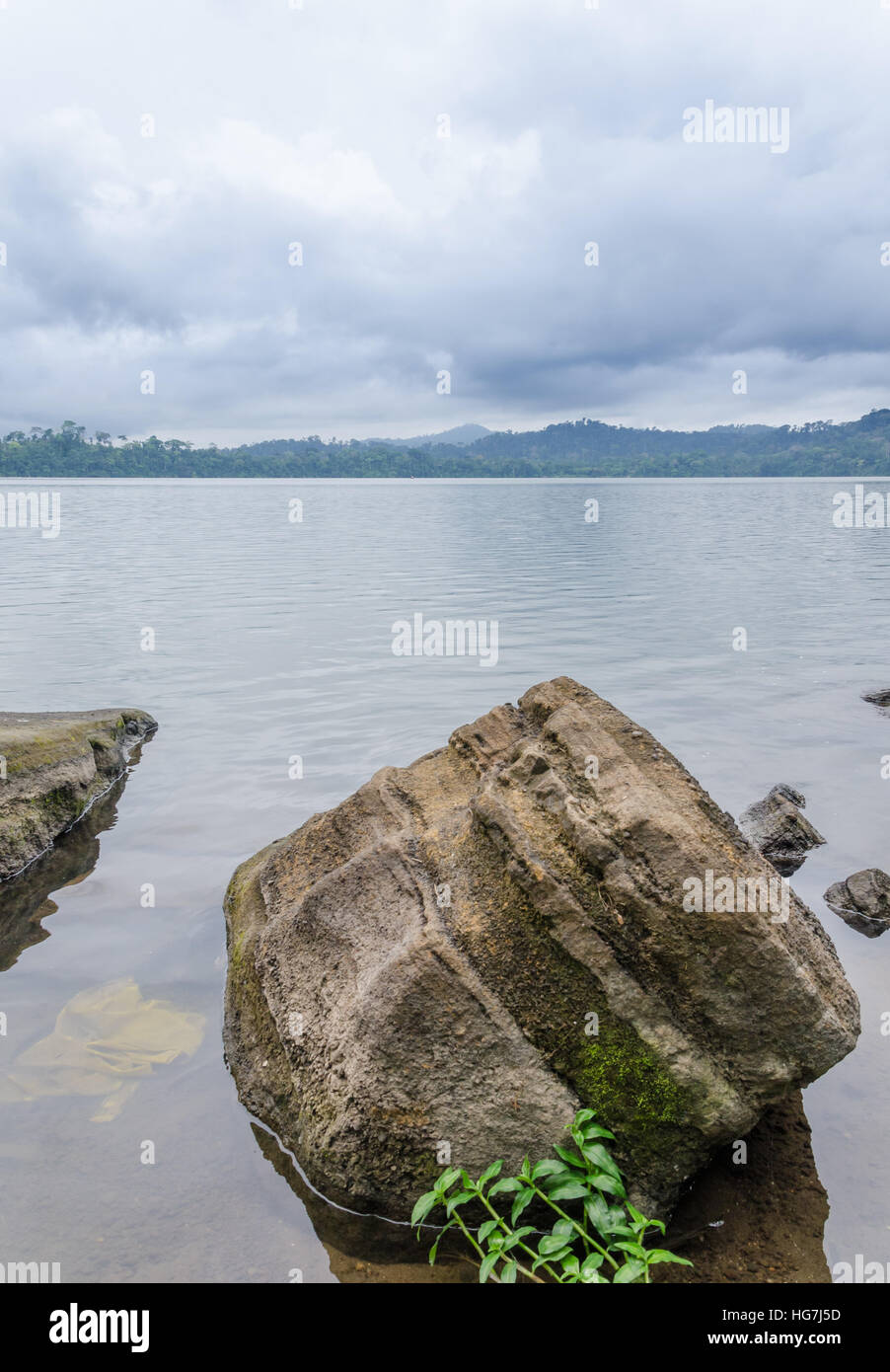 Large rock laying in peaceful Barombi Mbo crater lake in Cameroon ...