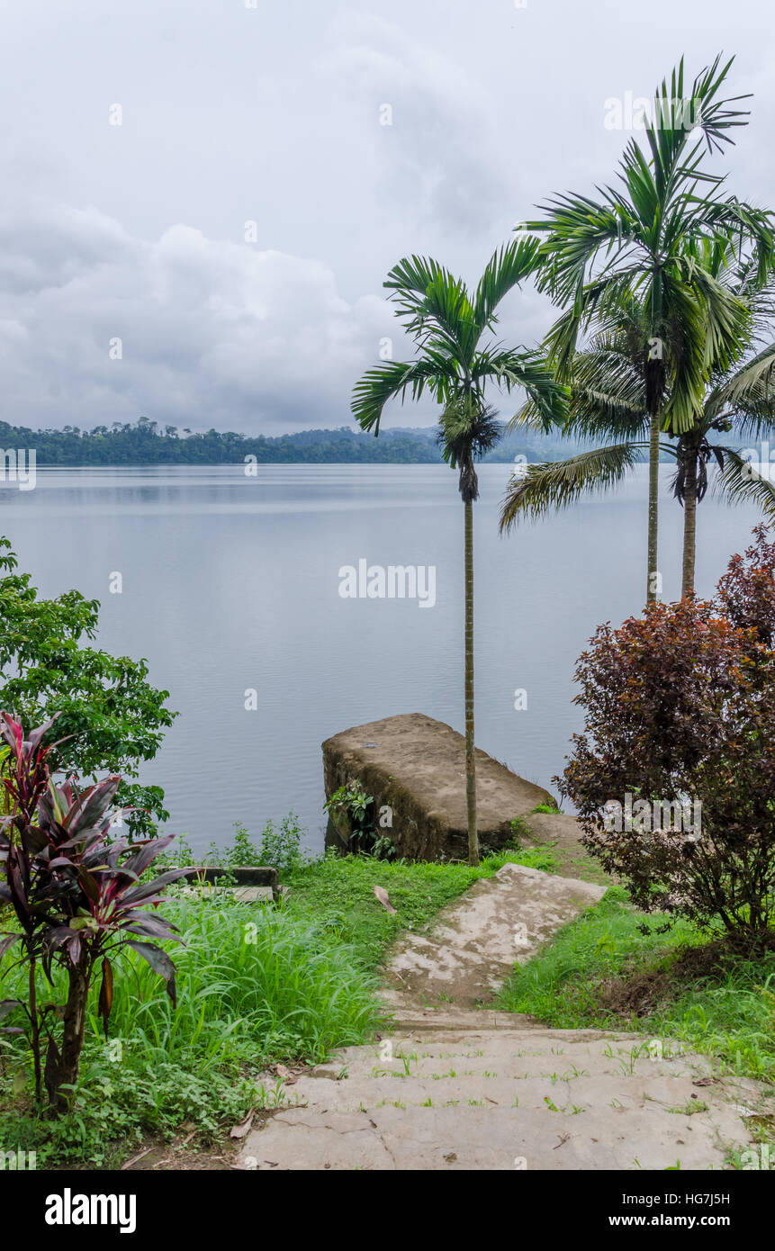 Concrete jetty, pathway and palms overlooking Barombi Mbo crater lake ...