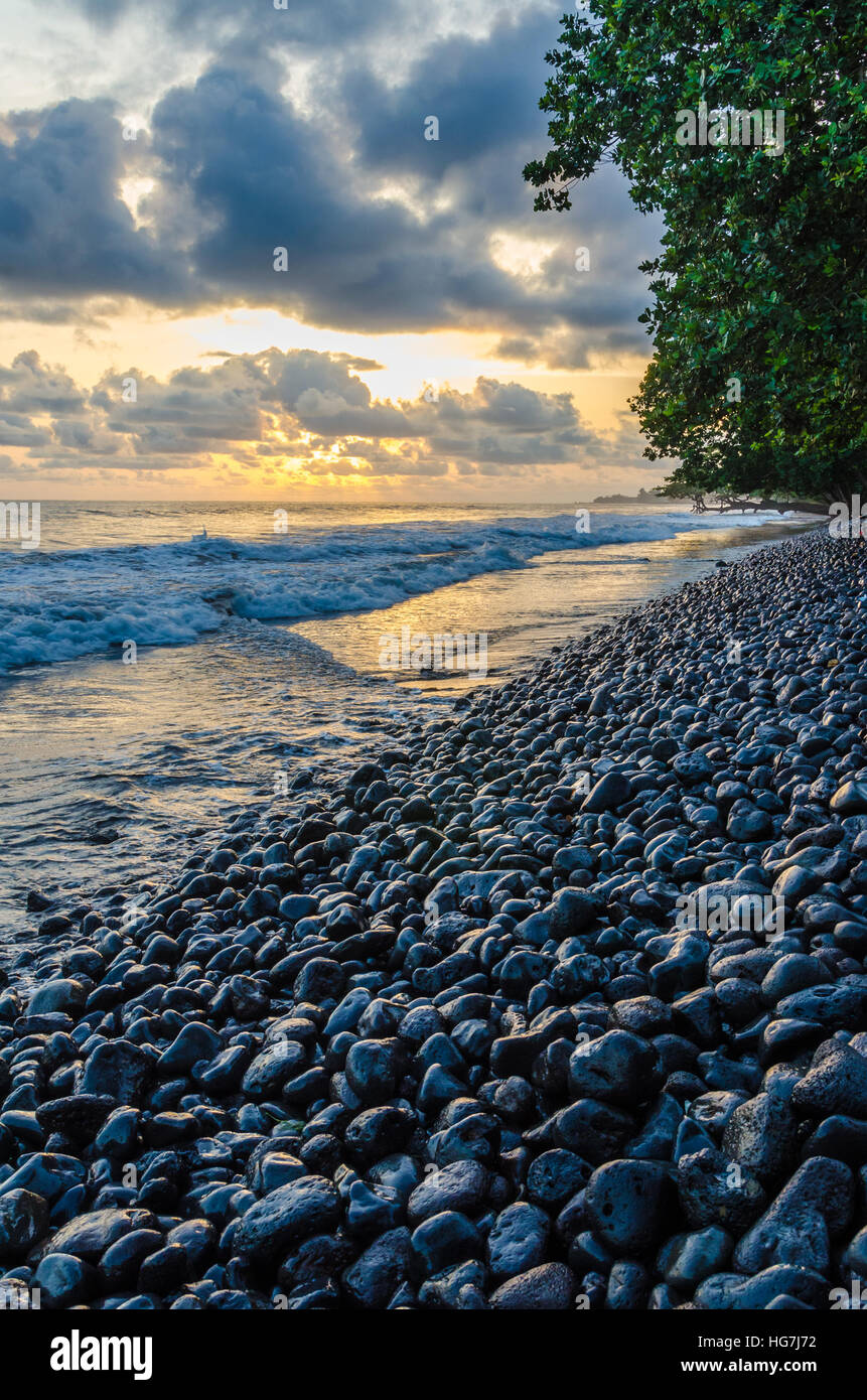 Dramatic coast with rocky volcanic beach, green tree, waves and amazing ...