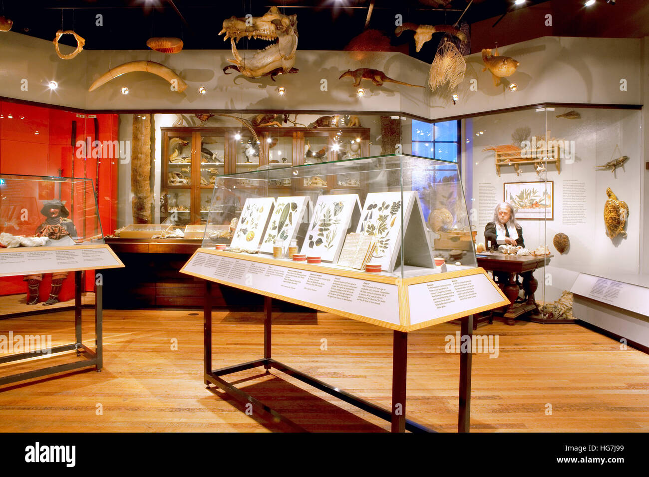 Tropenmuseum interior hi-res stock photography and images - Alamy