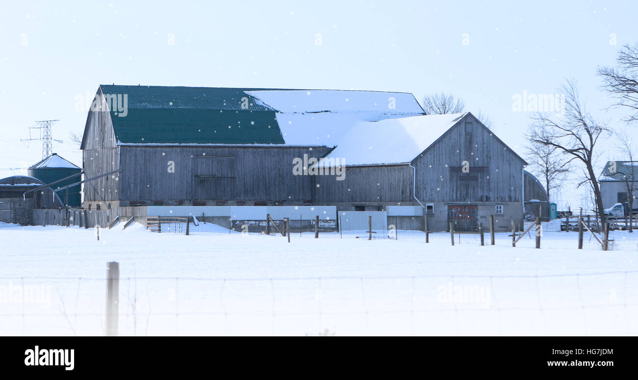 An Old barn and gently falling snow Stock Photo - Alamy