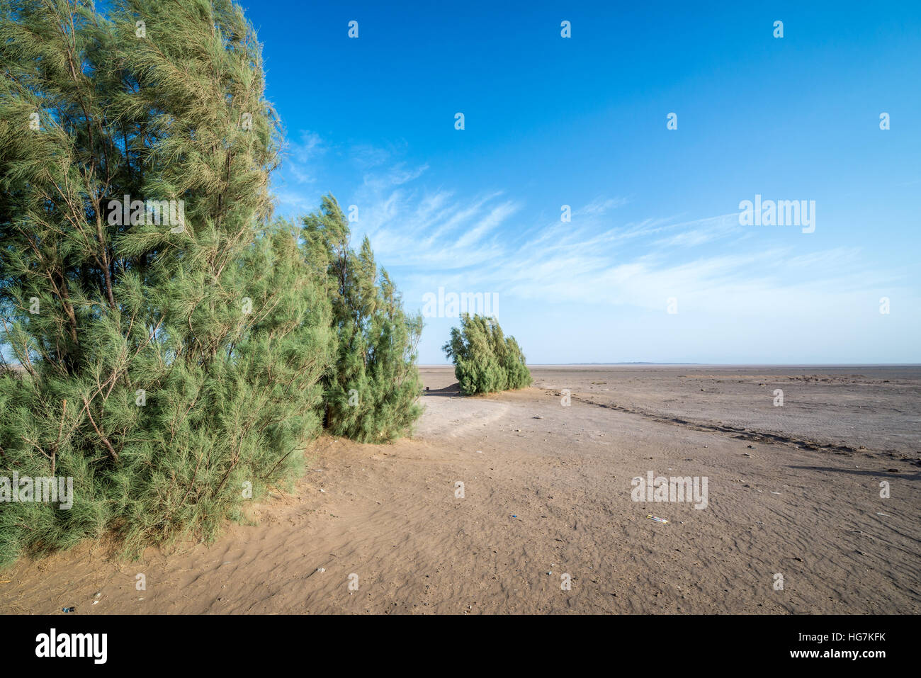 Iran trees hi-res stock photography and images - Alamy