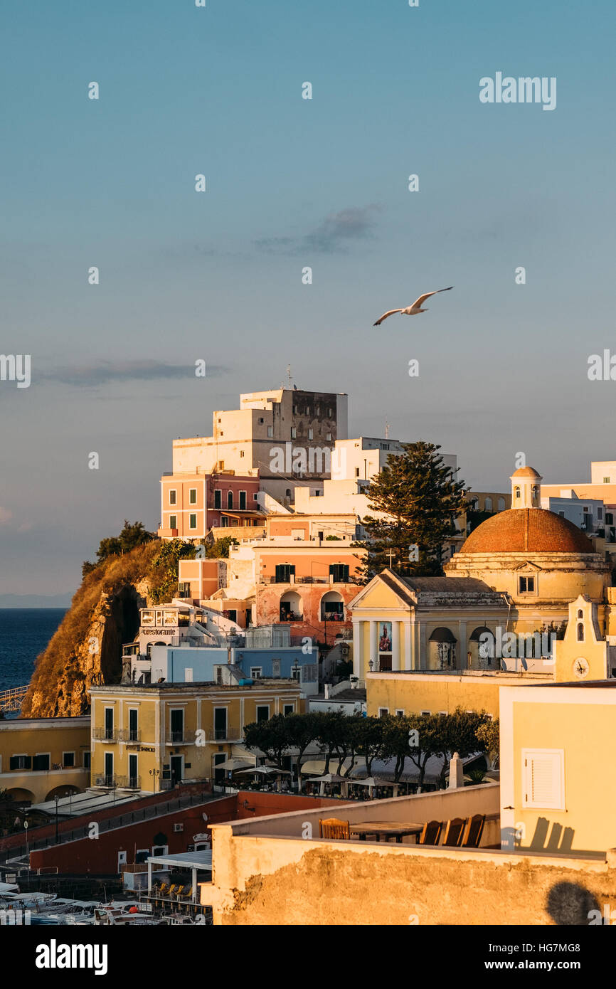 The town of the island of Ponza, Italy illuminated by the golden light ...