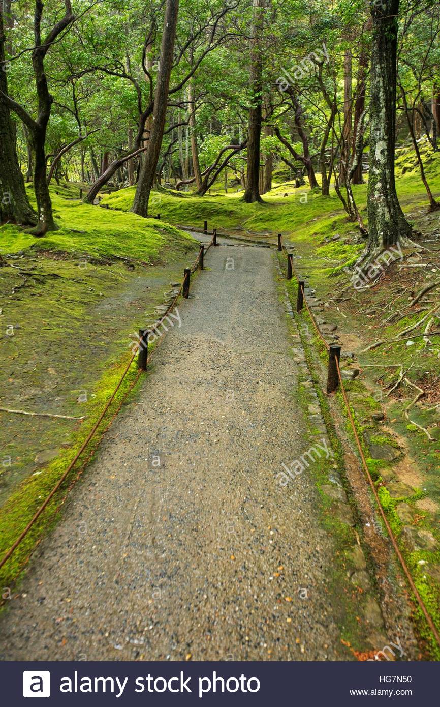 Kokedera High Resolution Stock Photography and Images - Alamy