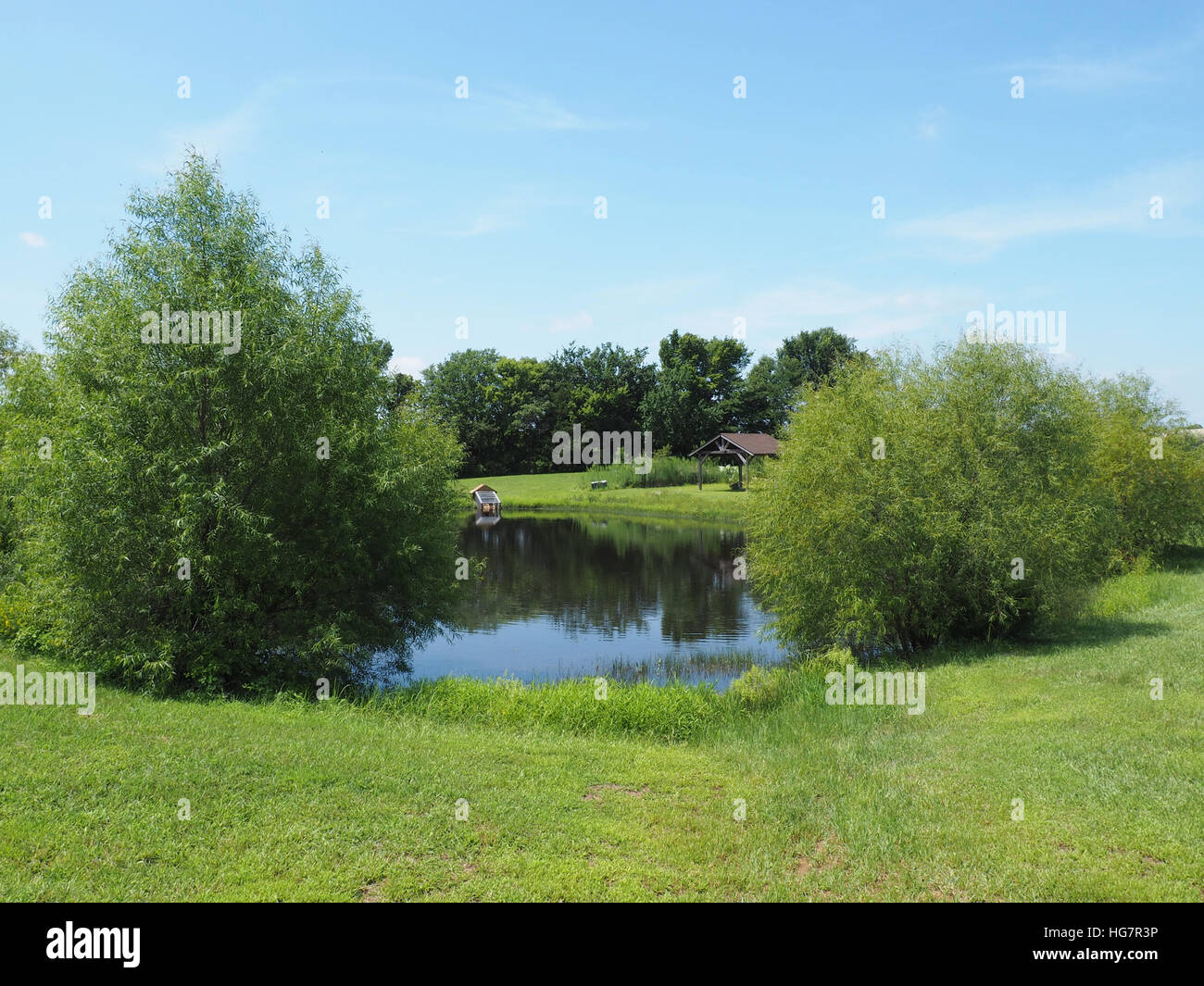 Small house surrounded hi-res stock photography and images - Alamy