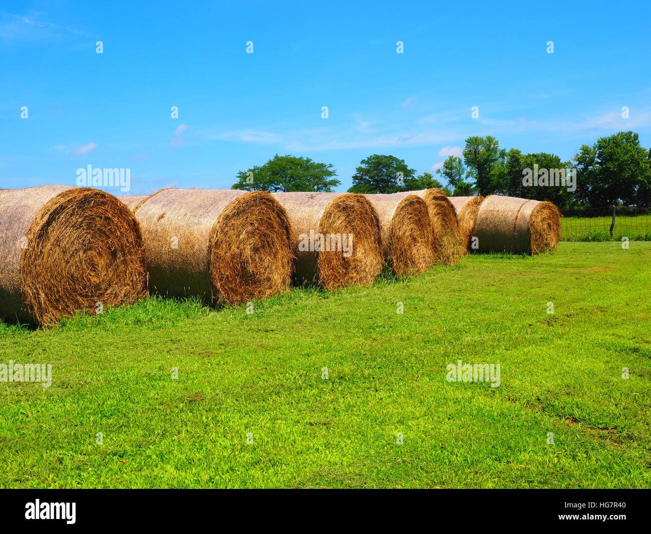 Rolled round bale bales hi-res stock photography and images - Alamy