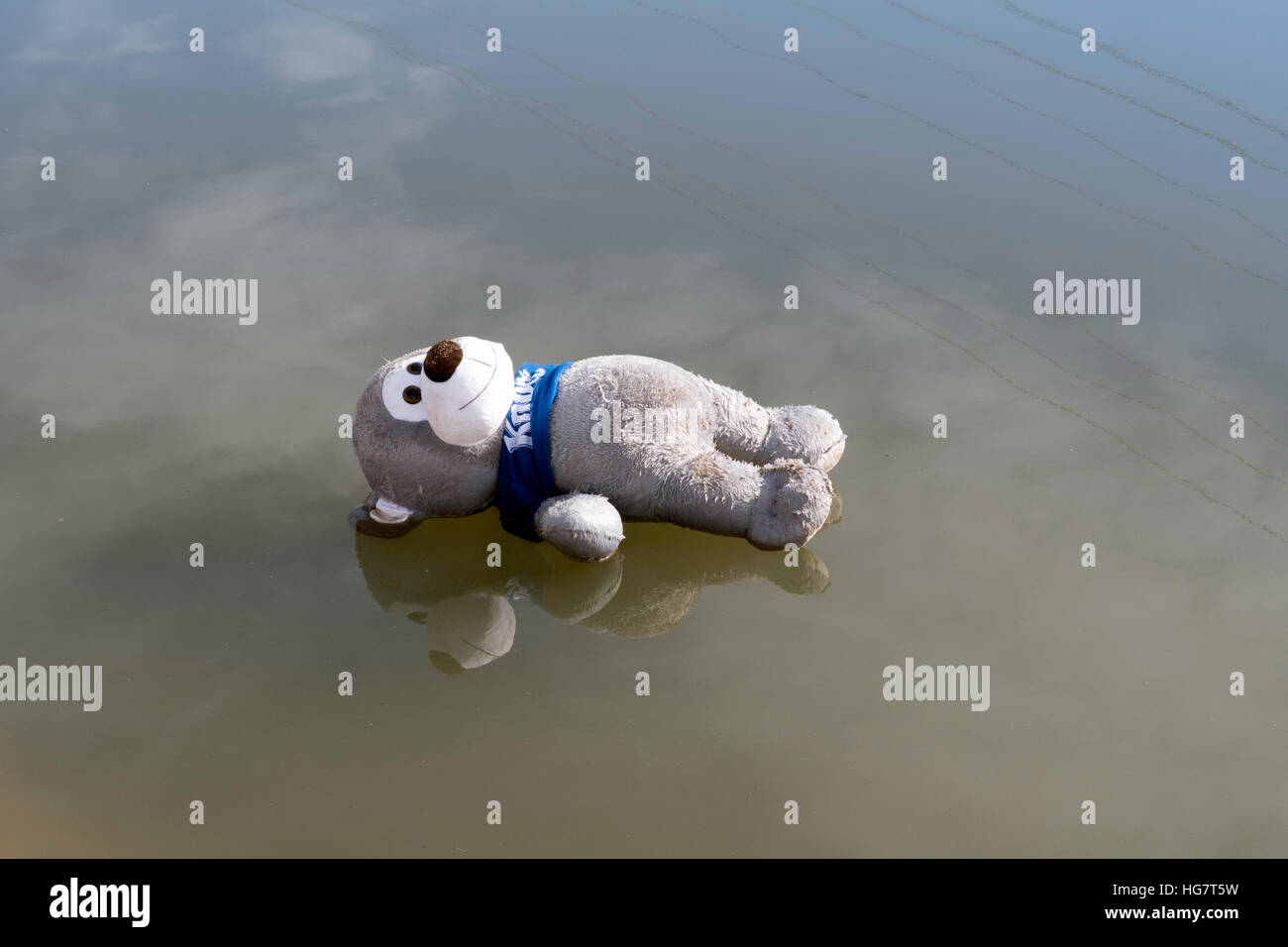 Drifting teddy bear hi-res stock photography and images - Alamy
