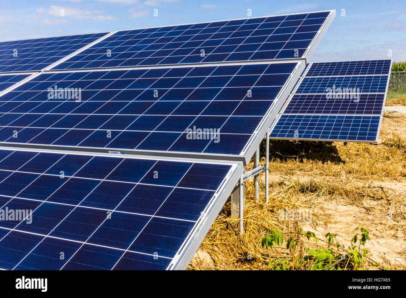 Solar Panel Farm. Corn Fields are Being Converted into Green Energy ...