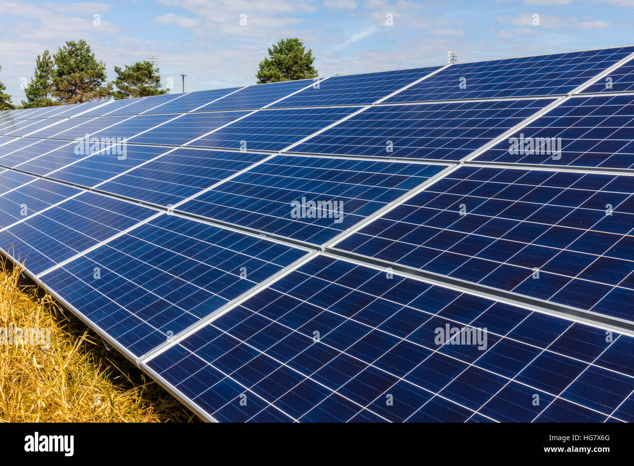 Solar Panel Farm. Corn Fields are Being Converted into Green Energy ...