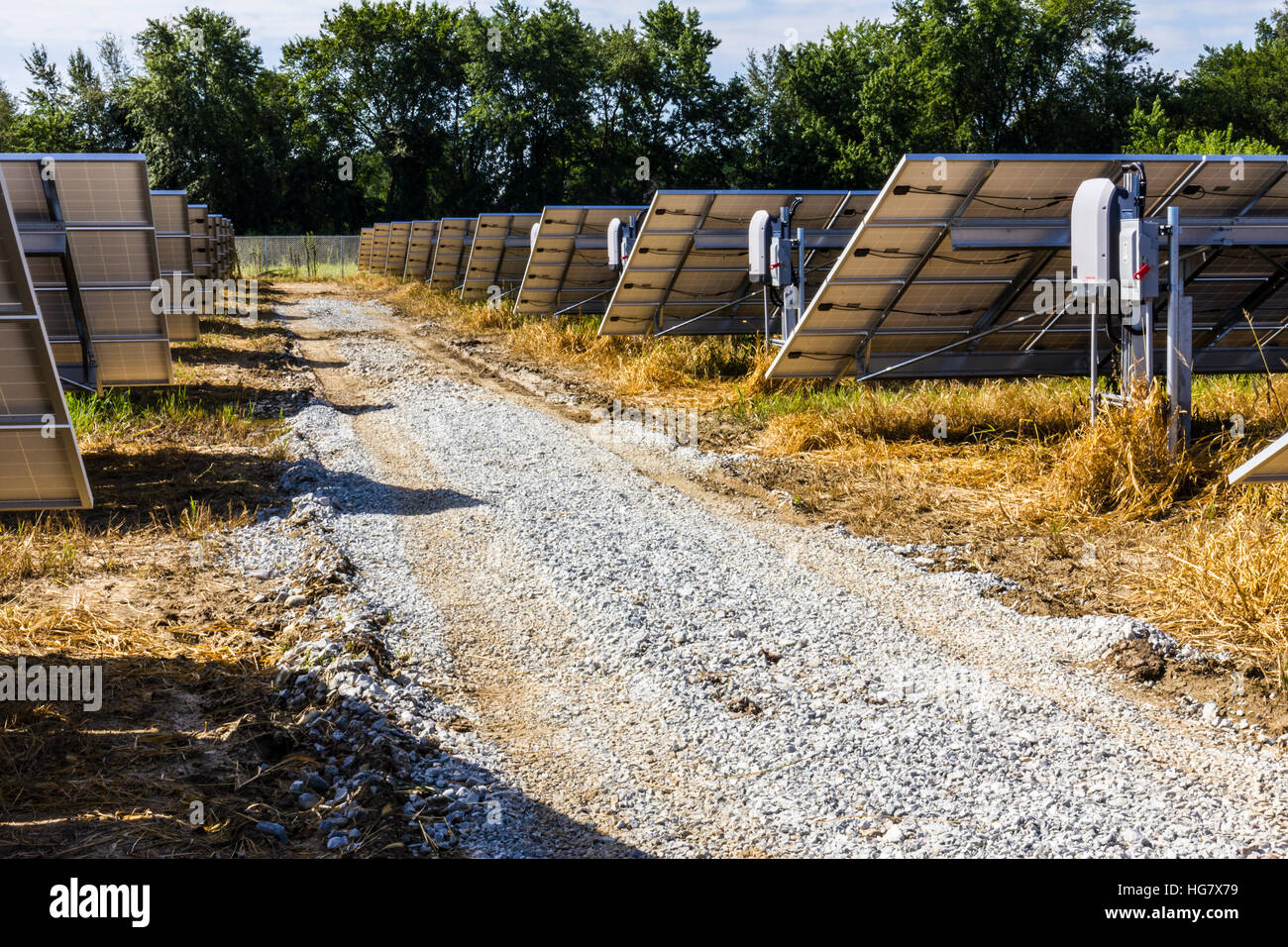 Solar Panel Farm. Corn Fields are Being Converted into Green Energy ...