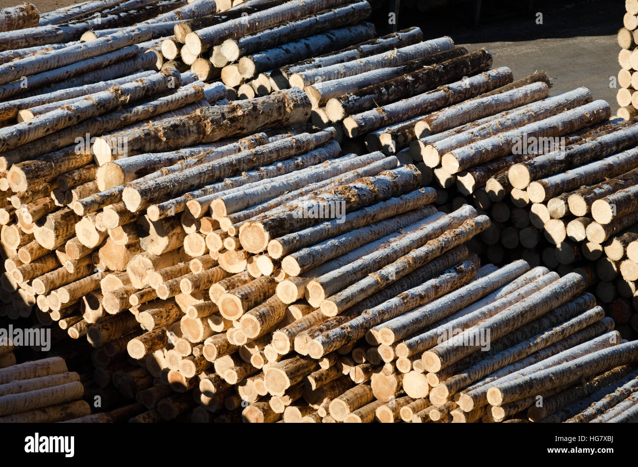 Logs piled high at an industrial woodyard Stock Photo - Alamy