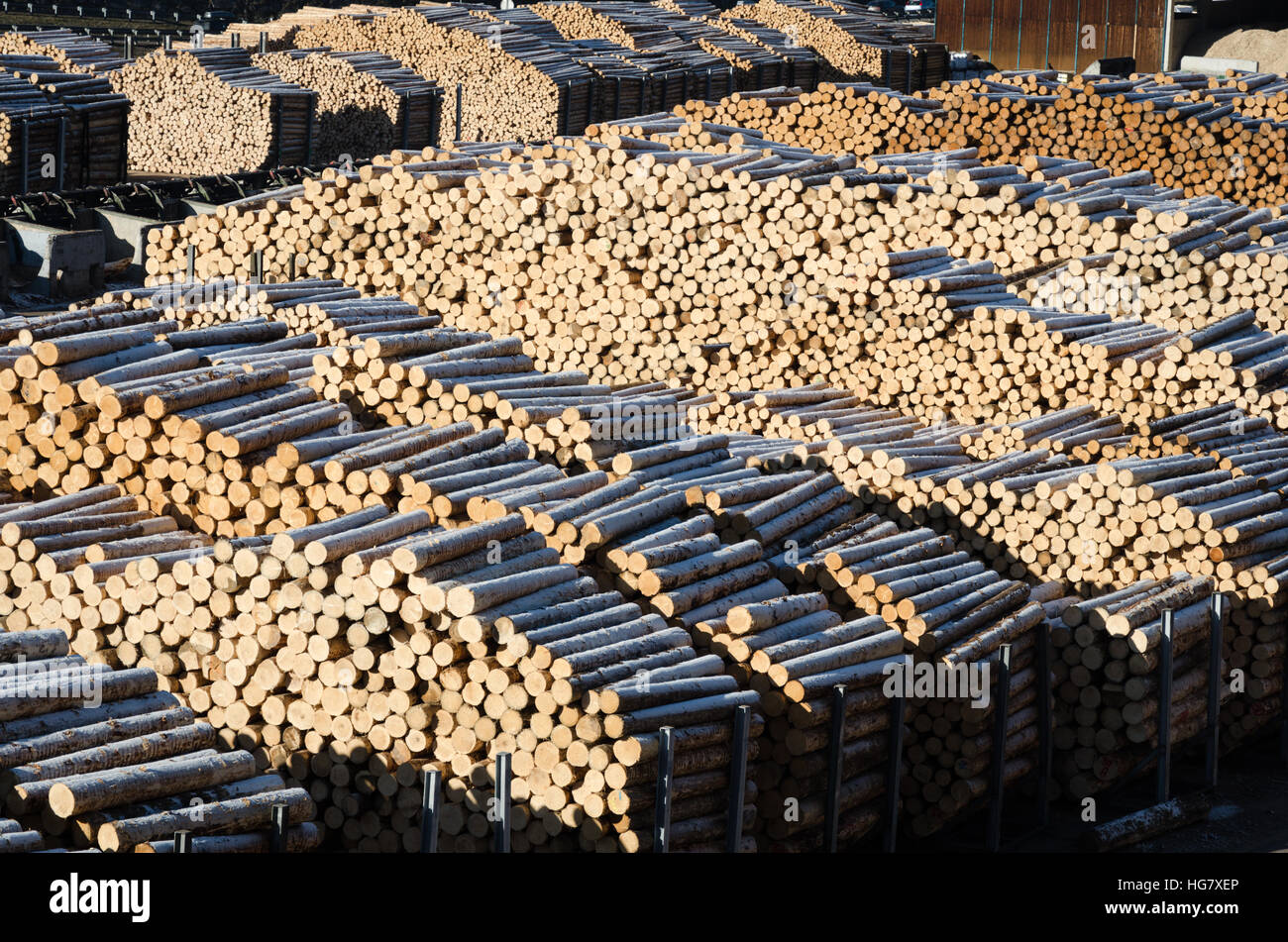 Woodyard hi-res stock photography and images - Alamy