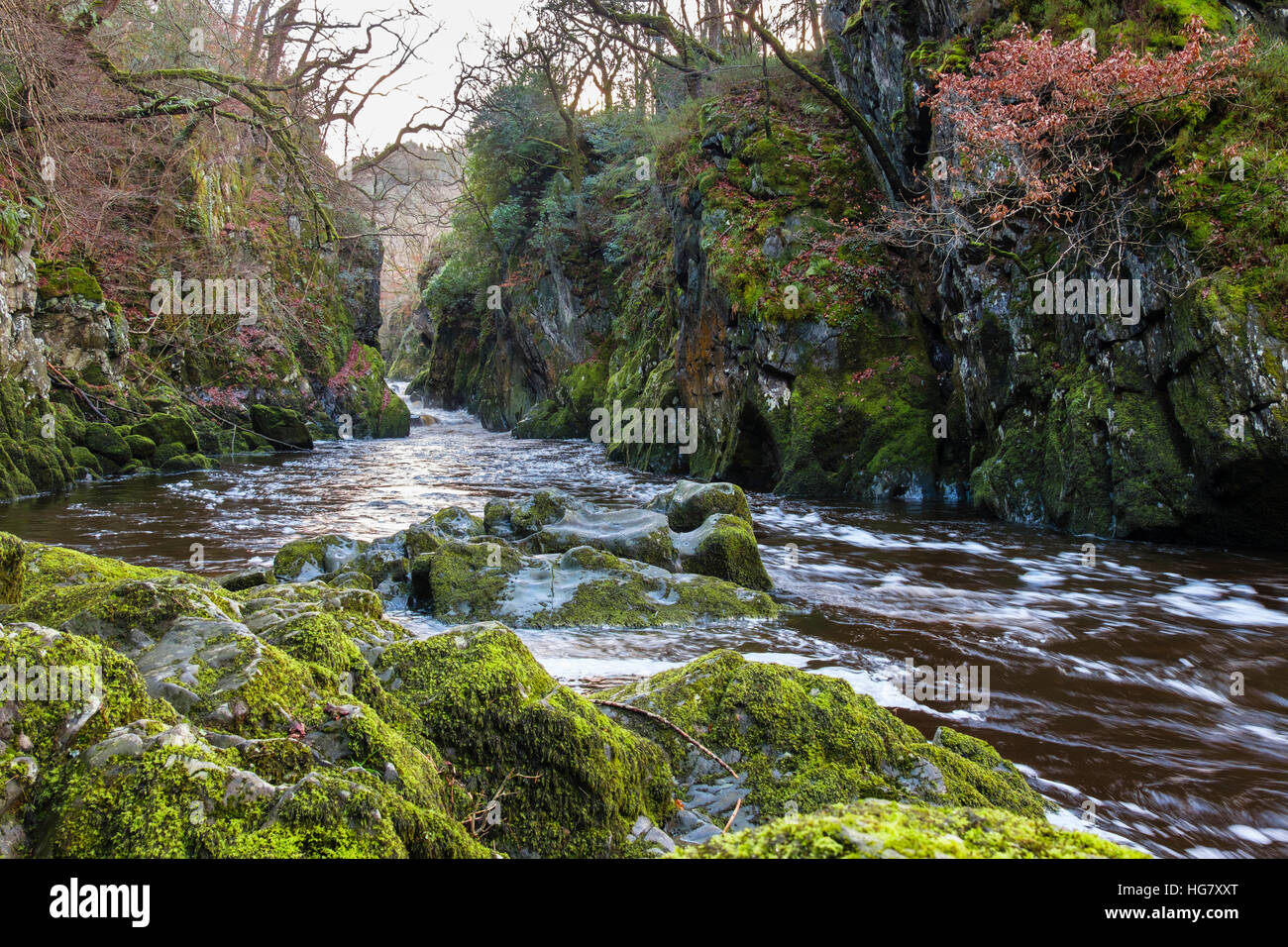 Looking upstream along Afon Conwy River flowing through narrow Fairy ...