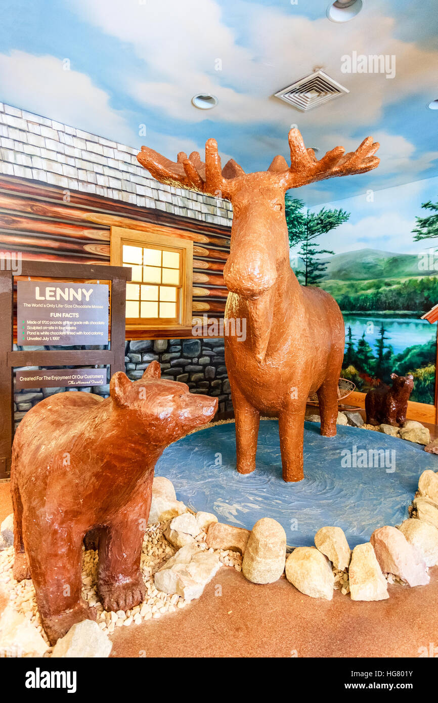 Lenny The Chocolate Moose Stock Photo - Alamy