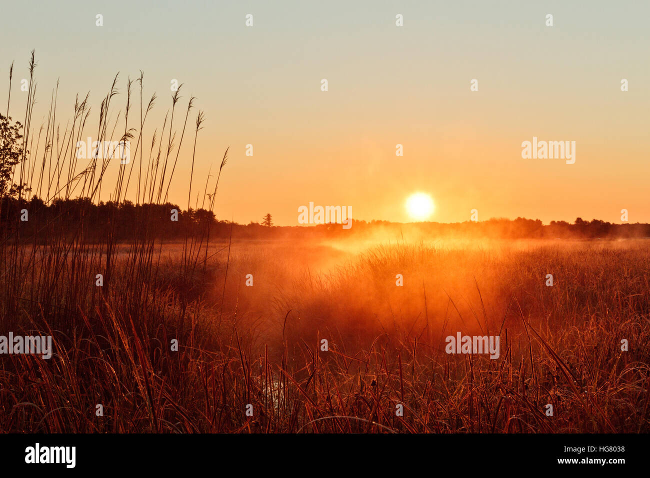 Fog marsh hi-res stock photography and images - Alamy
