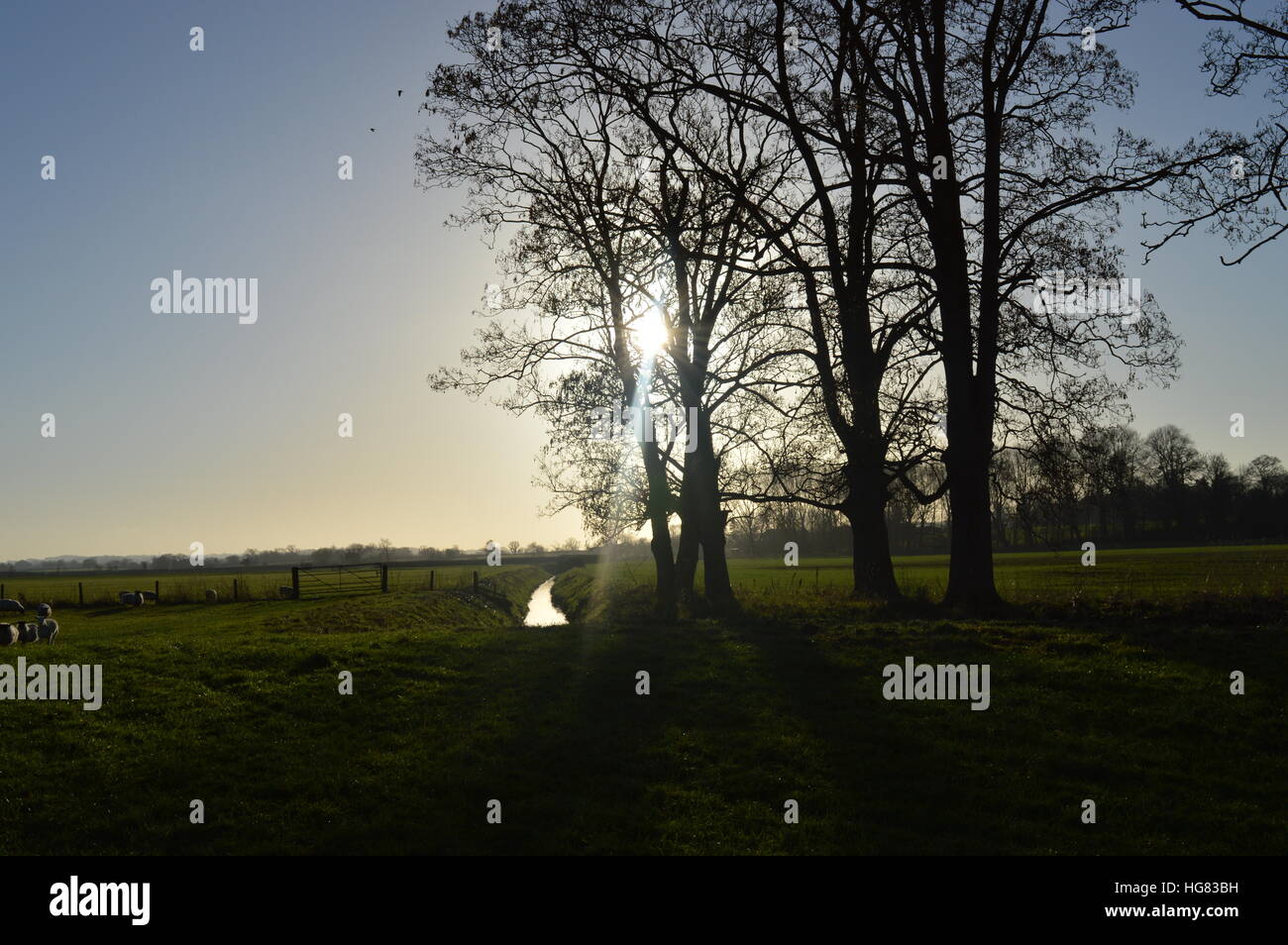 Breaking sun hi-res stock photography and images - Alamy