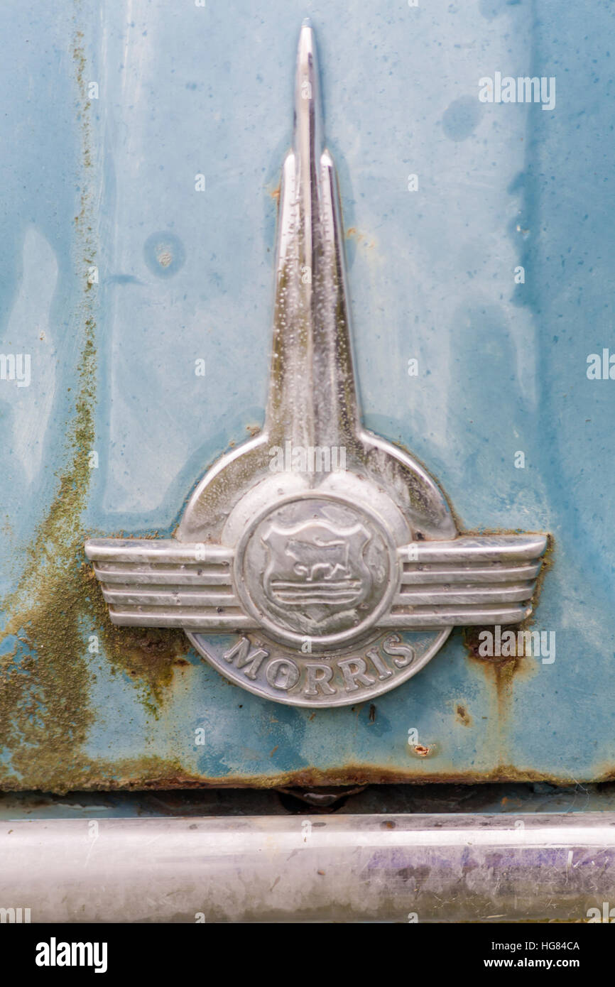 Morris Minor badge on old Morris Minor 1000 car Stock Photo - Alamy