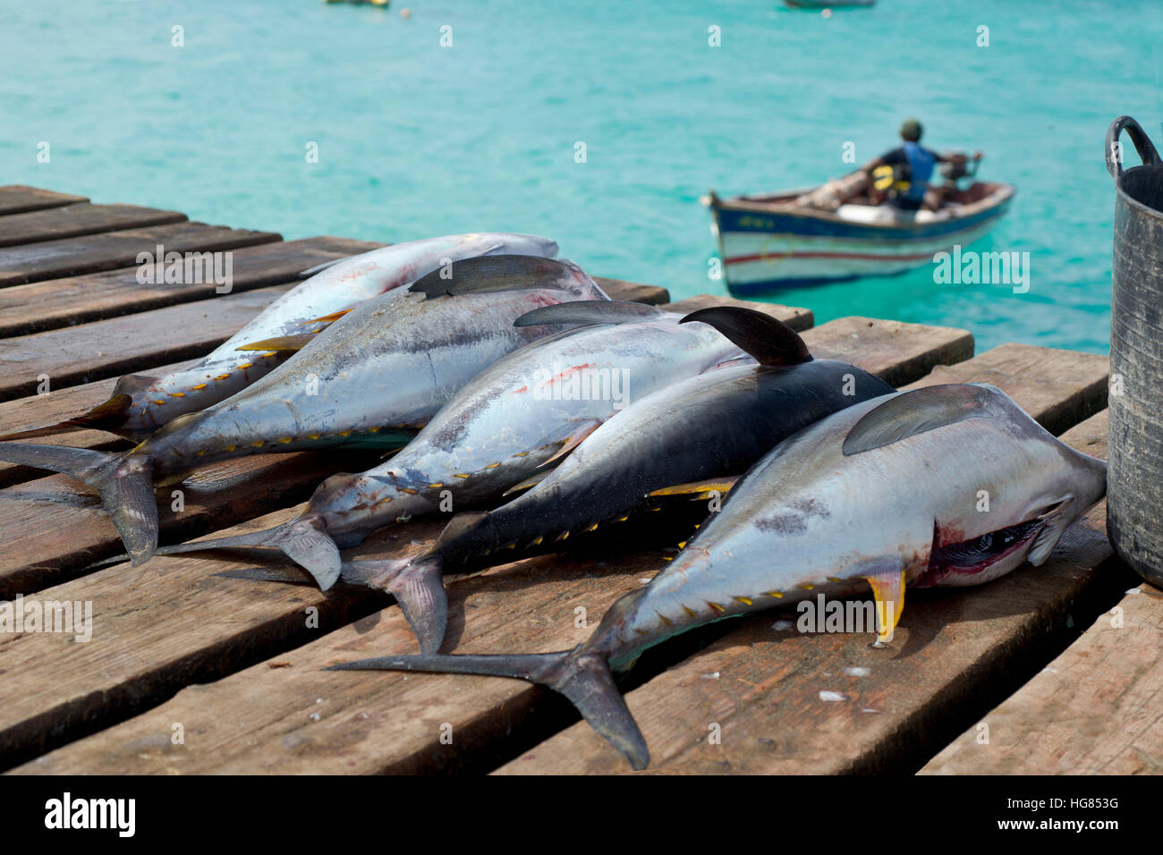Fishing boat. Sal - Cabo Verde. Tuna Stock Photo - Alamy