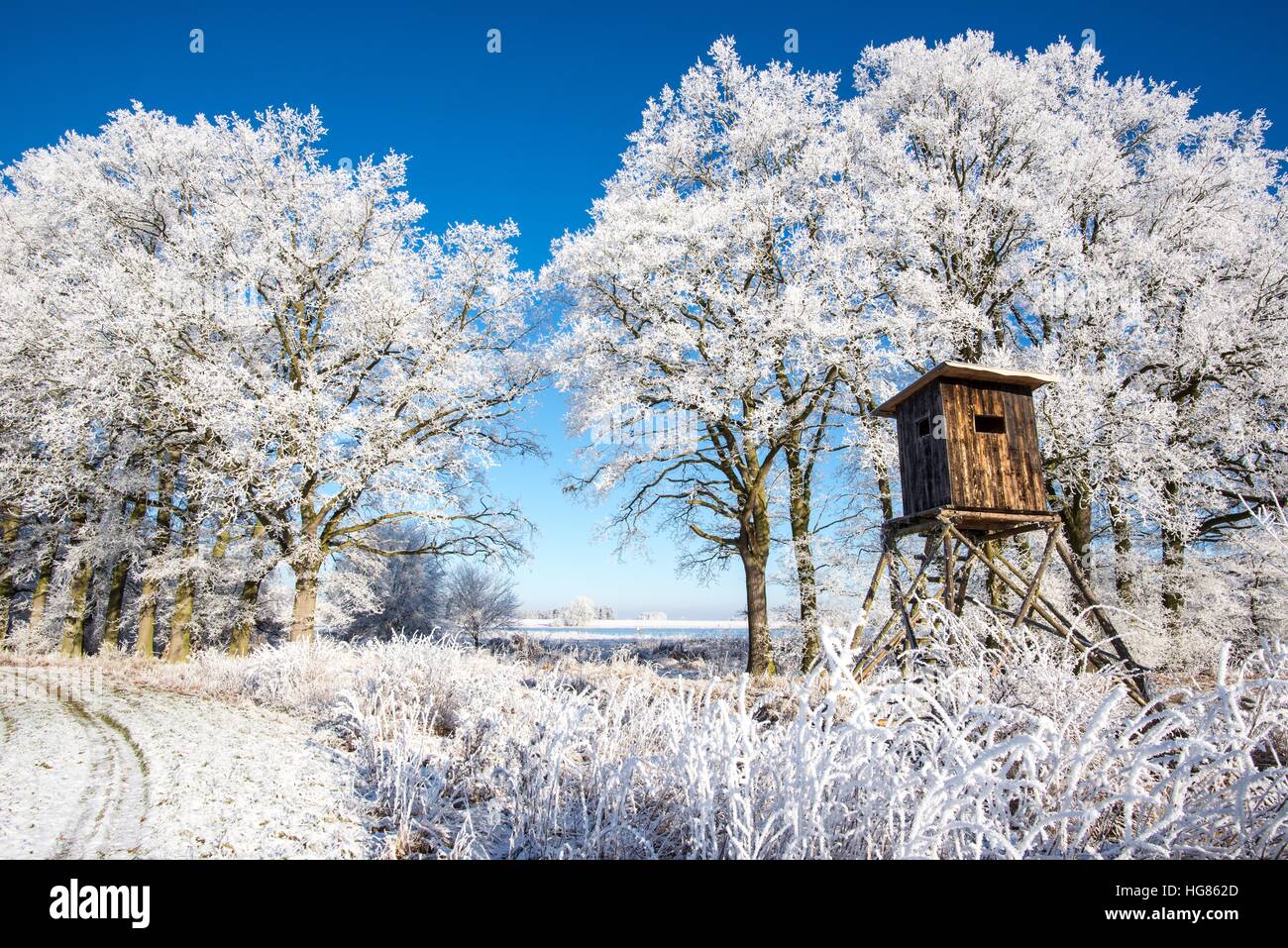 Horizontal photo of winter landscape with wooden hunting shelter which ...
