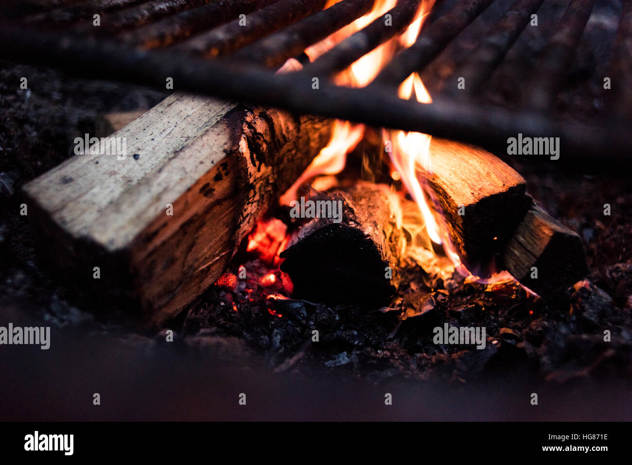 Close-up of bonfire in forest Stock Photo - Alamy