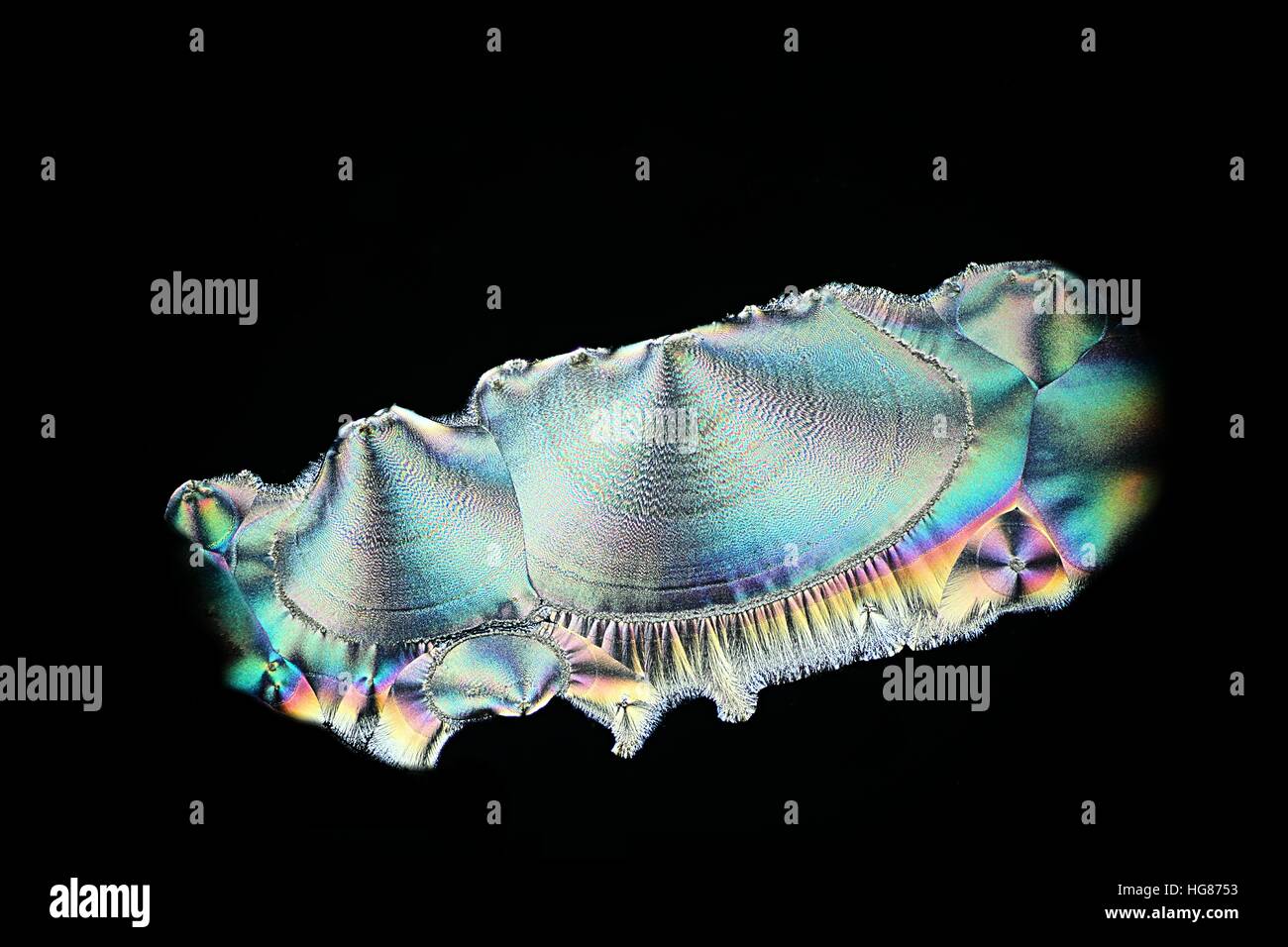 Microscope image of citric acid in crystallized form Stock Photo - Alamy