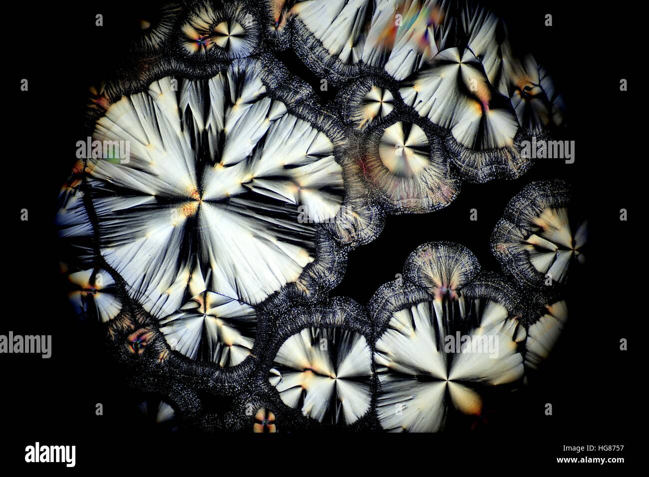 Citric acid crystal microscope hi-res stock photography and images - Alamy