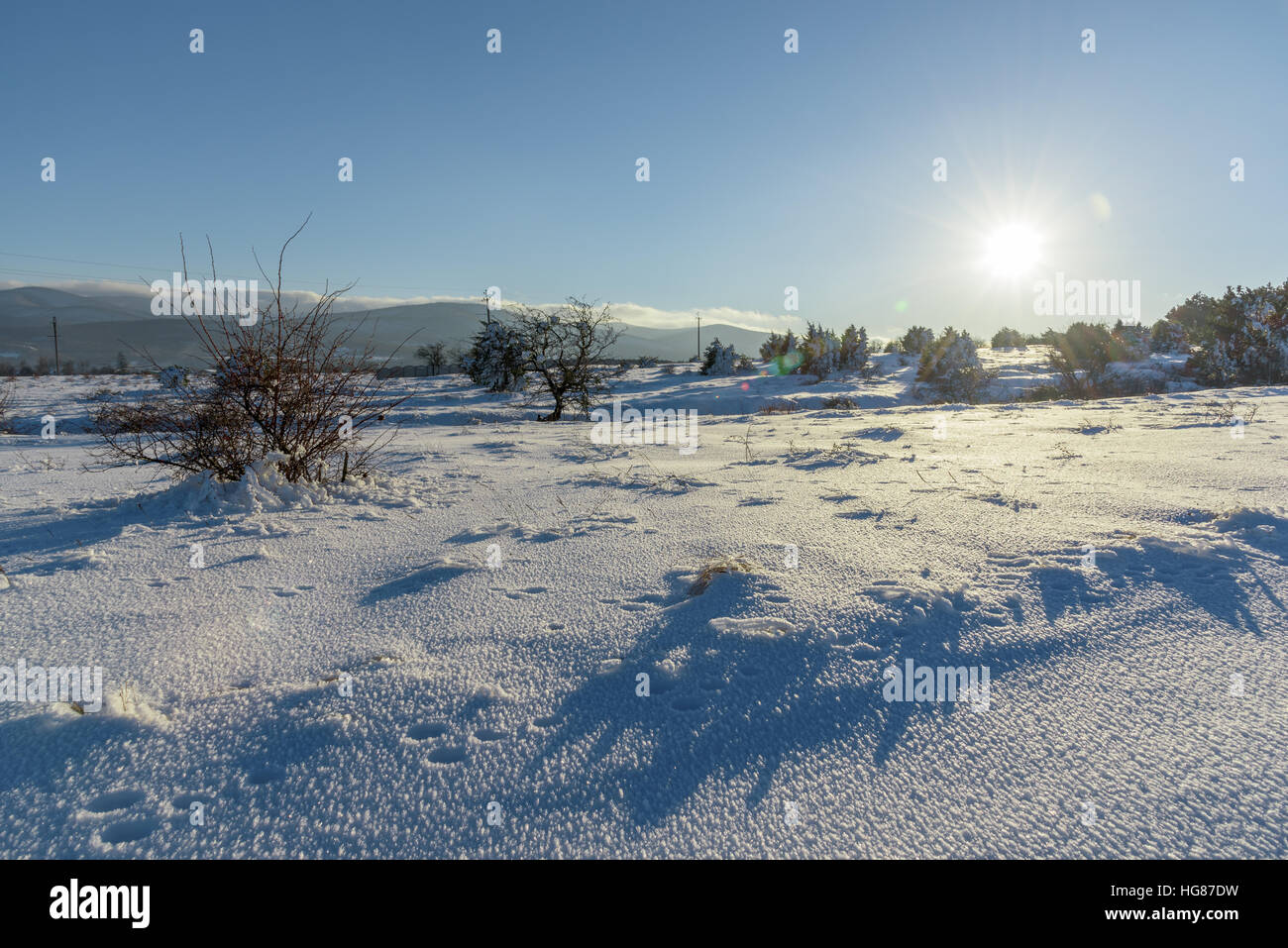 Bright sunny sunset in snowy field Stock Photo - Alamy
