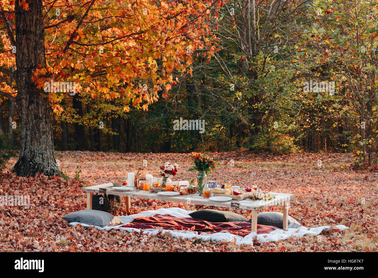 Table on picnic blanket Stock Photo - Alamy