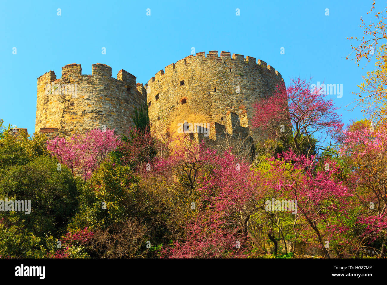 Istanbul In Spring High Resolution Stock Photography and Images - Alamy