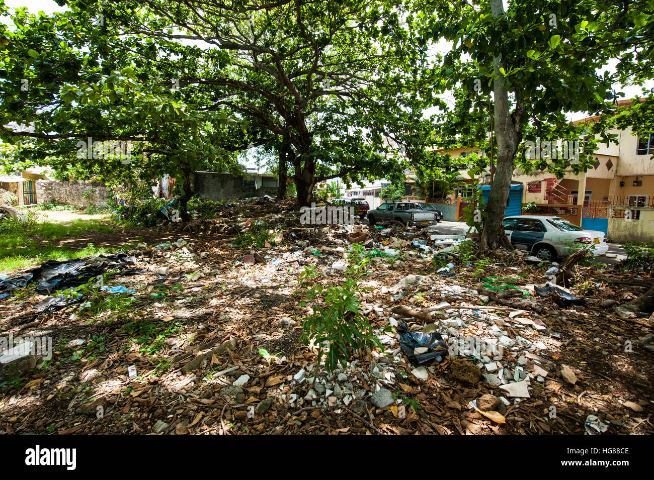 Mauritius ecology hi-res stock photography and images - Alamy