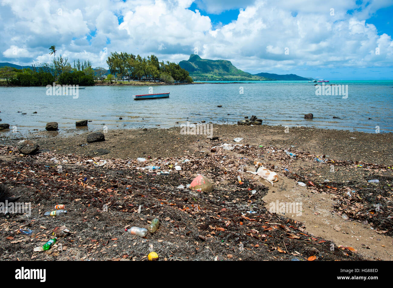 Indian trash hi-res stock photography and images - Alamy