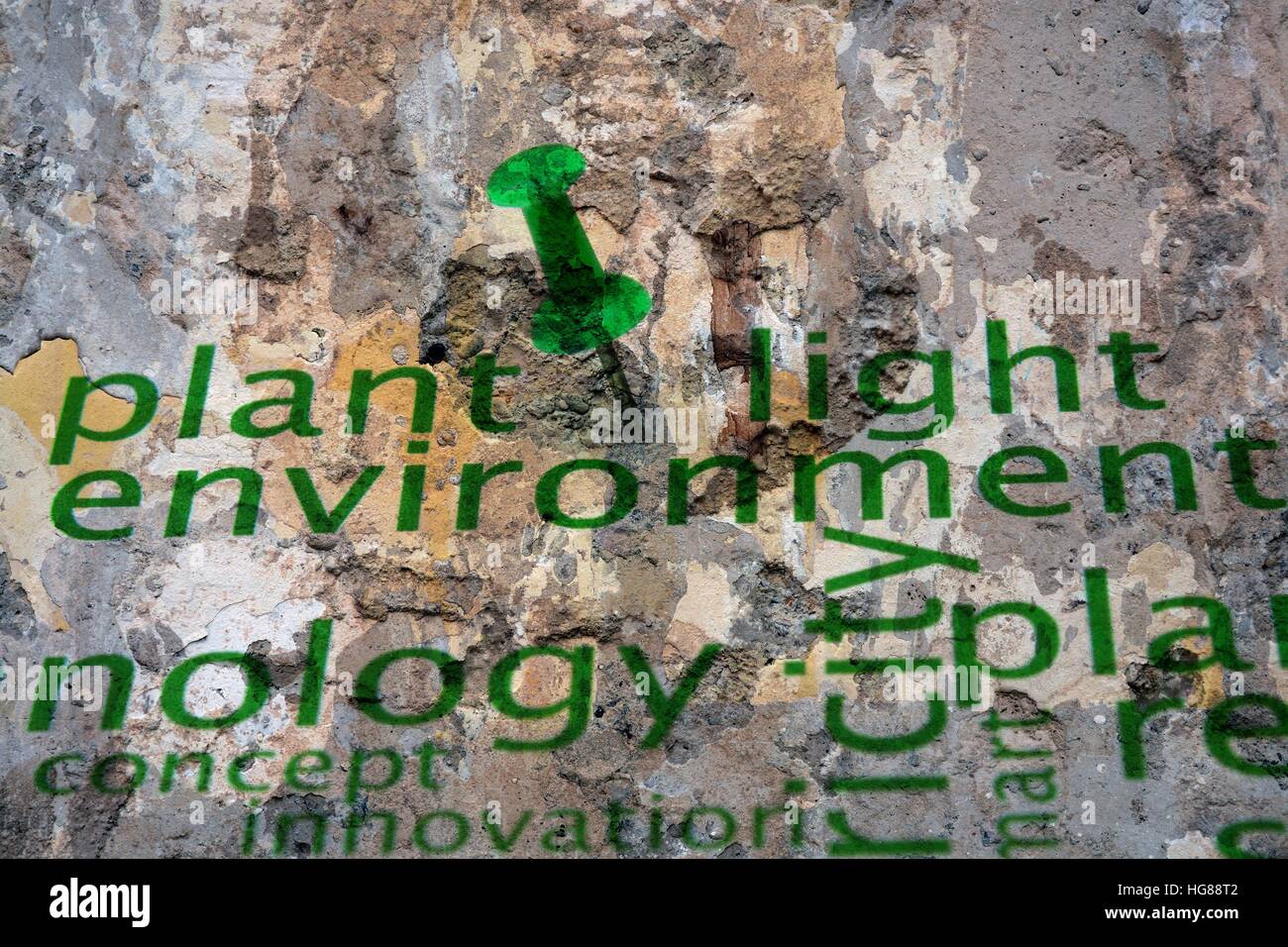 Push pin on ecology word cloud Stock Photo - Alamy