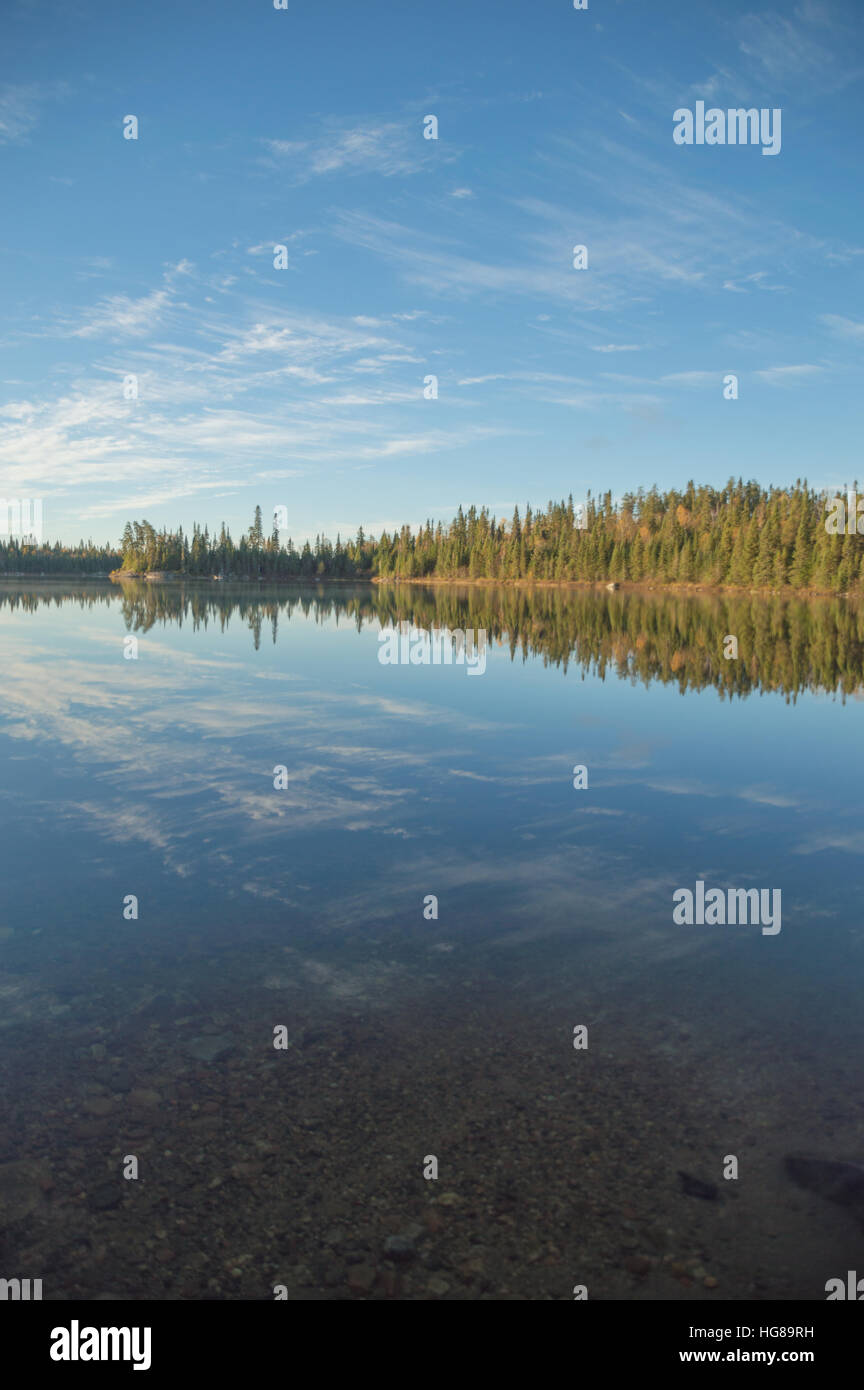Dead calm lake in early morning with reflections of conifers and wispy ...