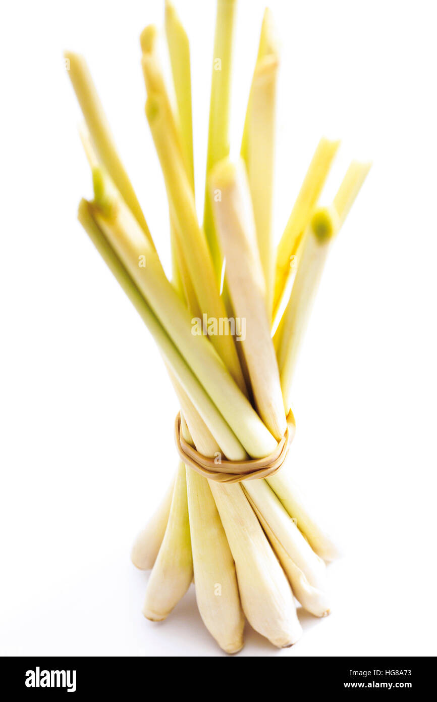 Lemongrass (Cymbopogon citratus Stock Photo - Alamy