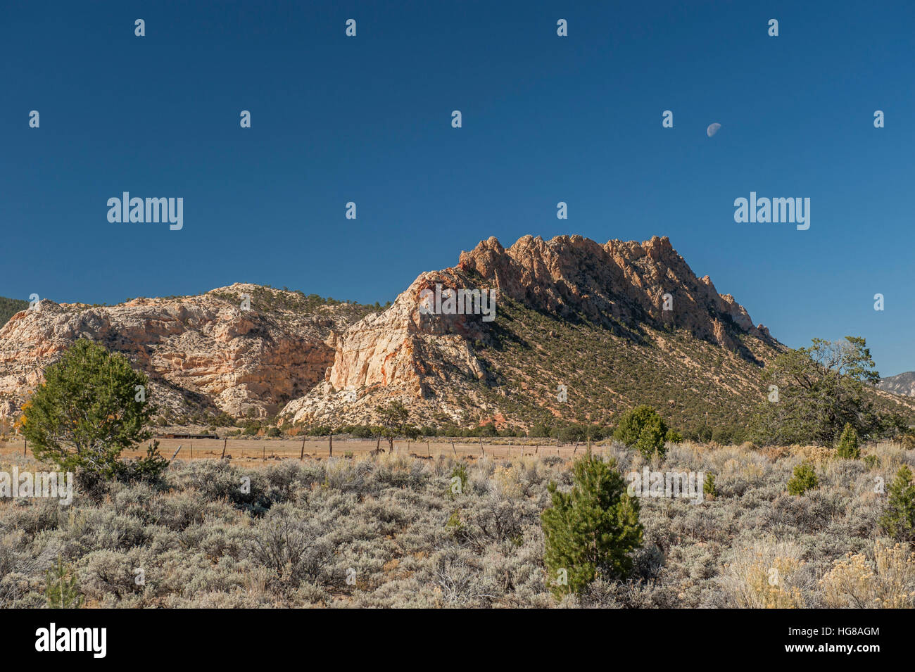 Cock's Comb, a Navajo Sandstone feature that has been tilted vertically ...