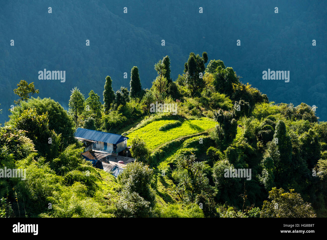 View on landscape with green rice fields and farmer house, Upper Modi ...