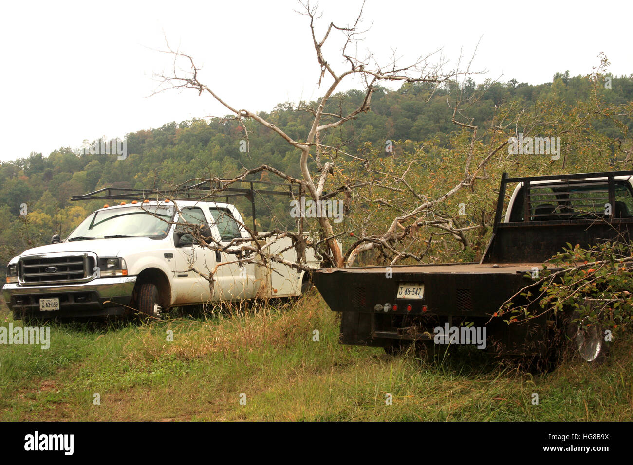 Two pick up trucks hi-res stock photography and images - Alamy