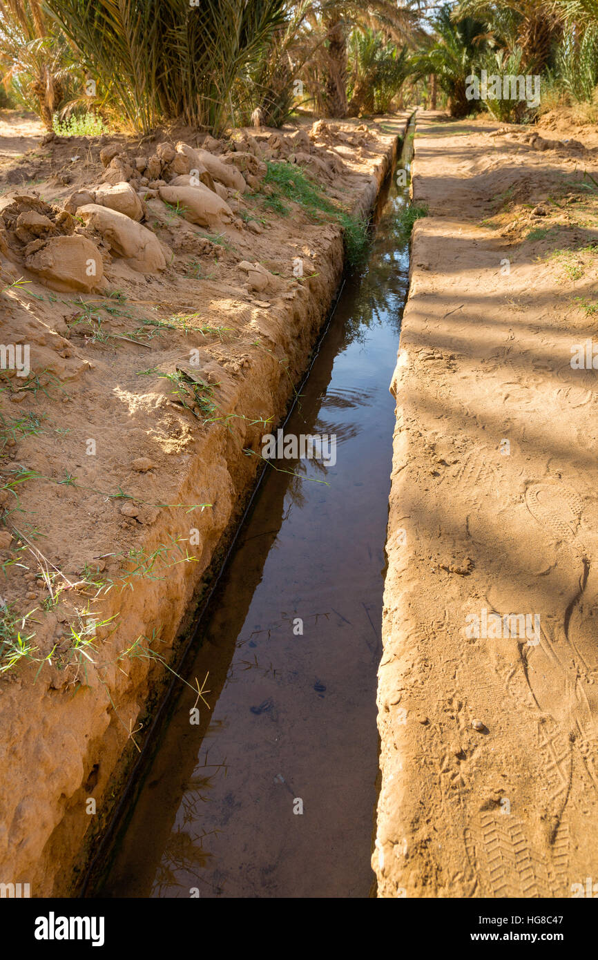 Sahara desert irrigation system hi-res stock photography and images - Alamy