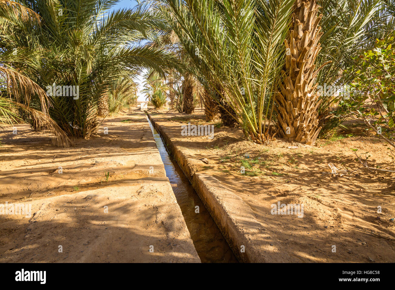 Sahara desert irrigation system hi-res stock photography and images - Alamy