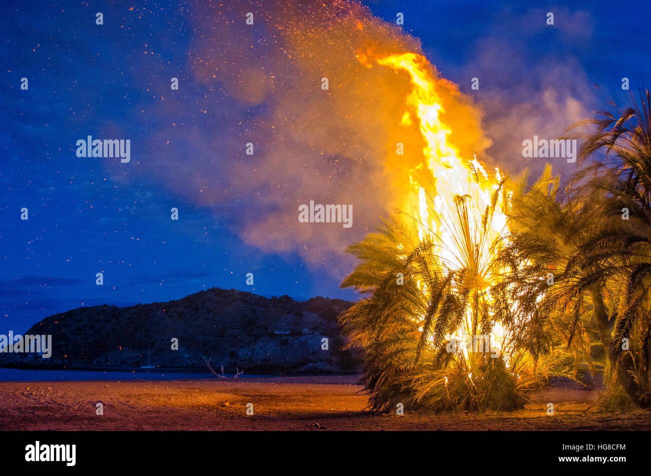 Burning tree trees hi-res stock photography and images - Alamy