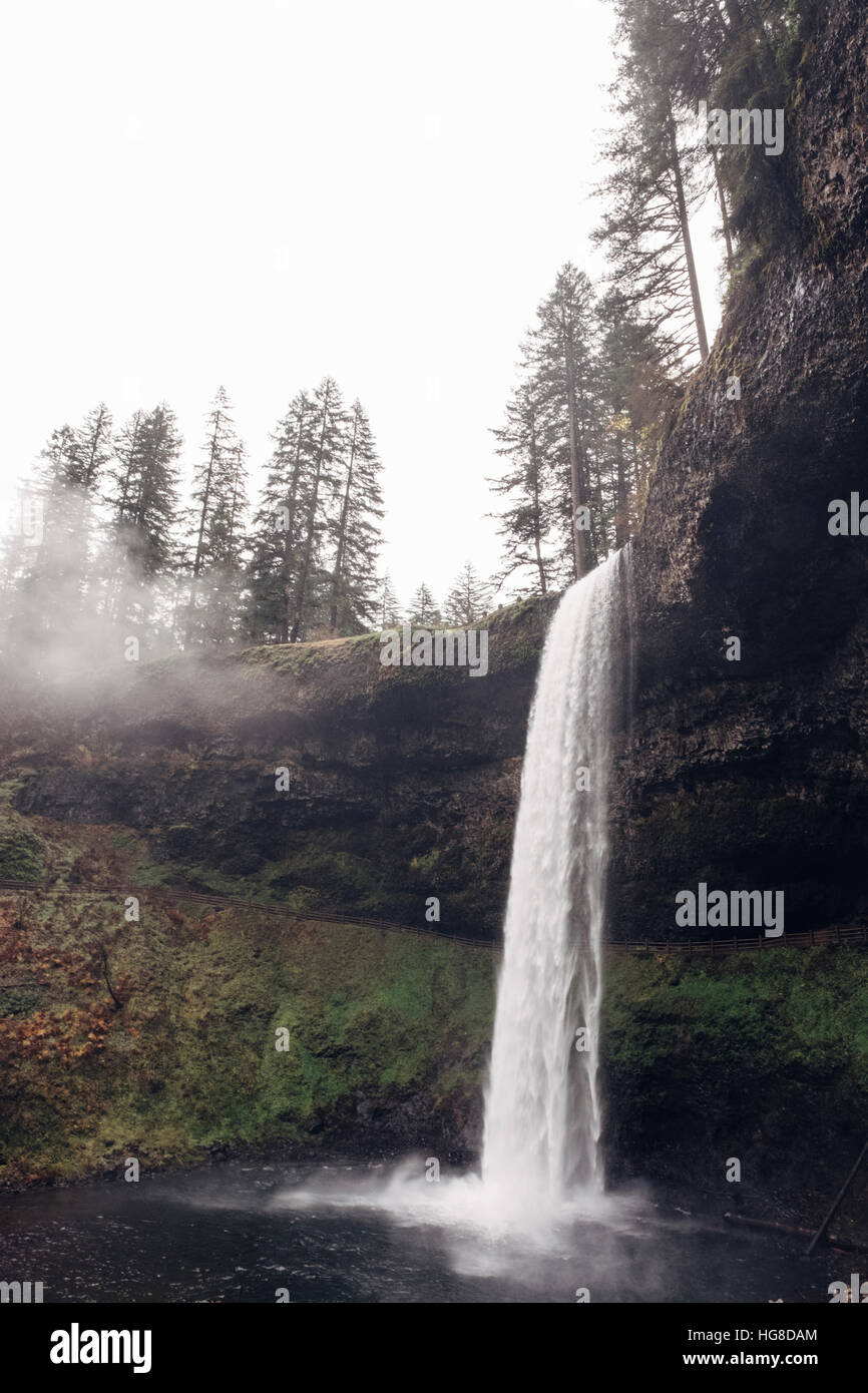 Scenic view of waterfall in forest Stock Photo - Alamy