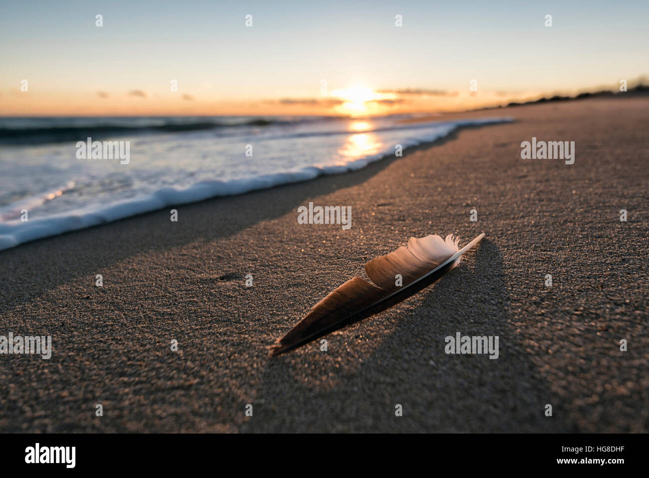 Feather beach hi-res stock photography and images - Alamy