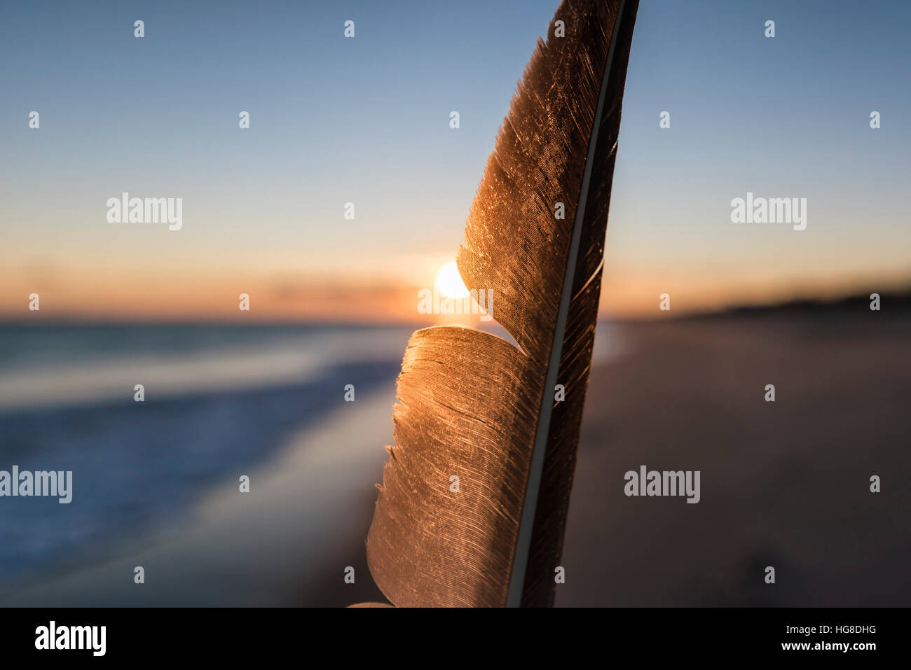 Feather beach hi-res stock photography and images - Alamy
