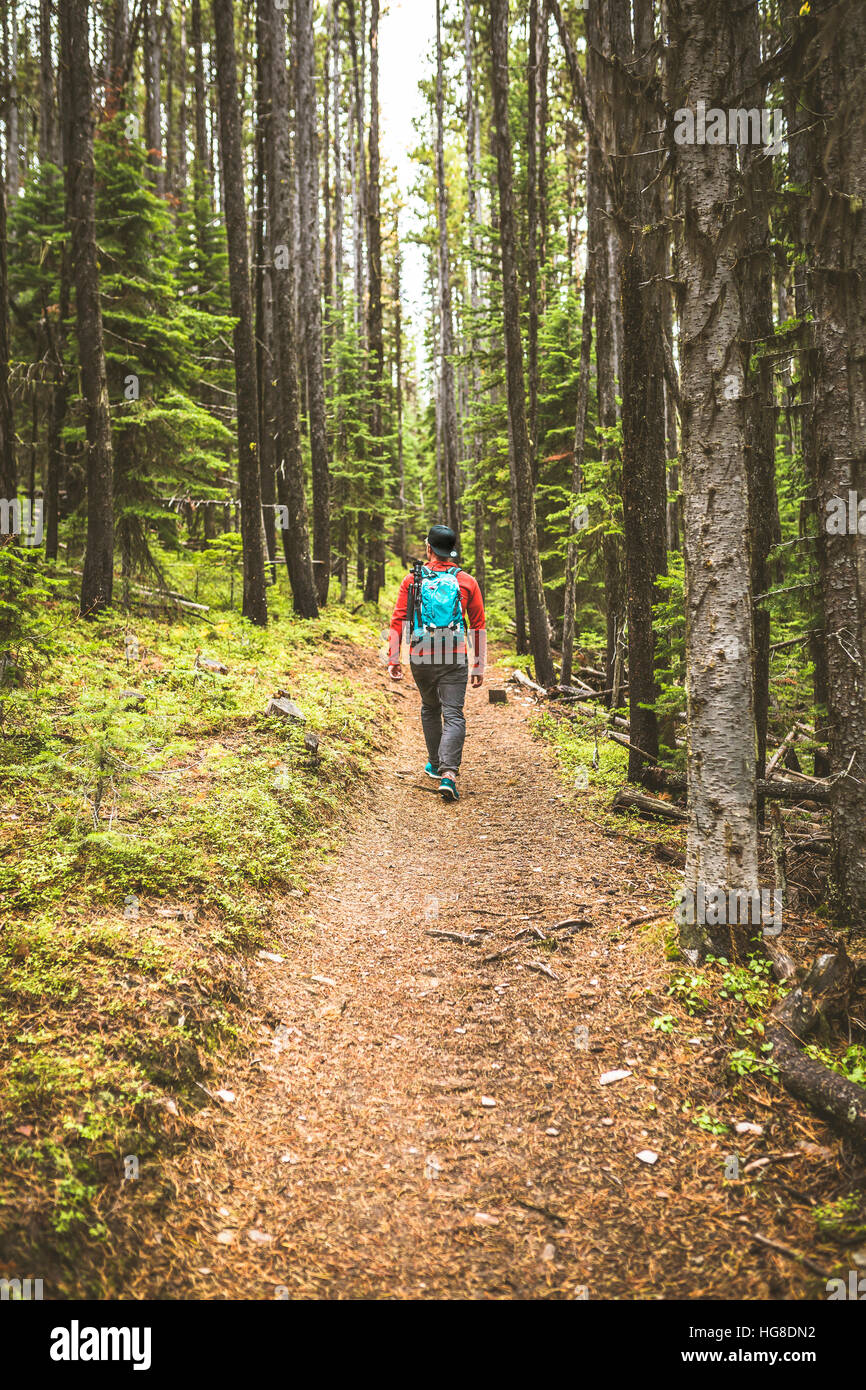 Rear view of man hiking in forest Stock Photo - Alamy