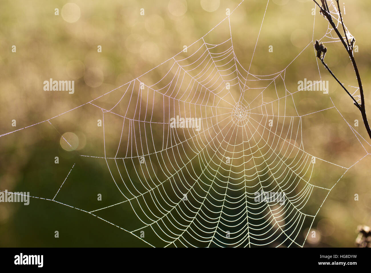 Connection to nature hi-res stock photography and images - Alamy