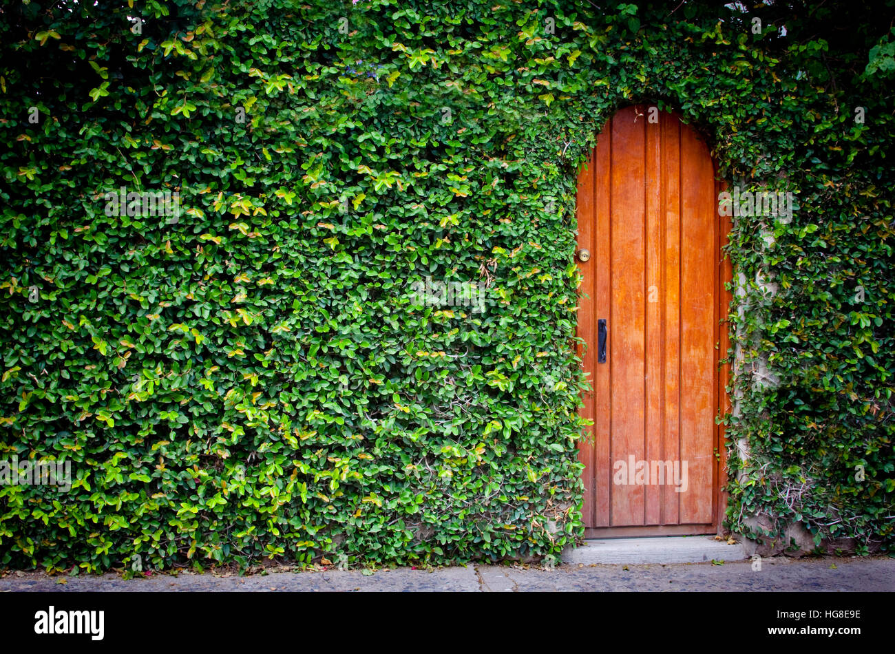 Wooden door with foliage around Stock Photo - Alamy